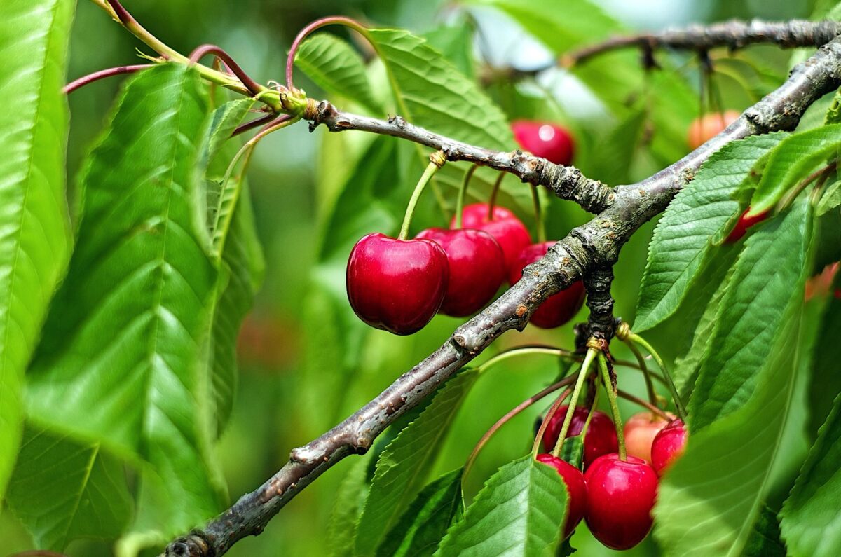 Invermere Real Estate Listings & Homes for Sale - Rockies West Realty